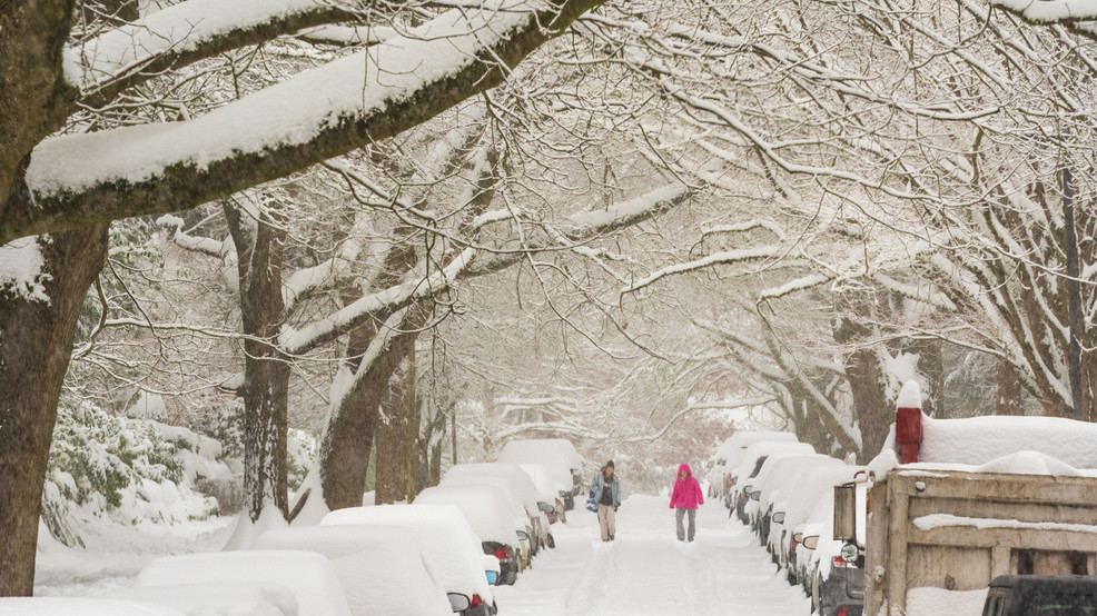 Photos: Snow paints serene pictures across the Puget Sound region | KOMO