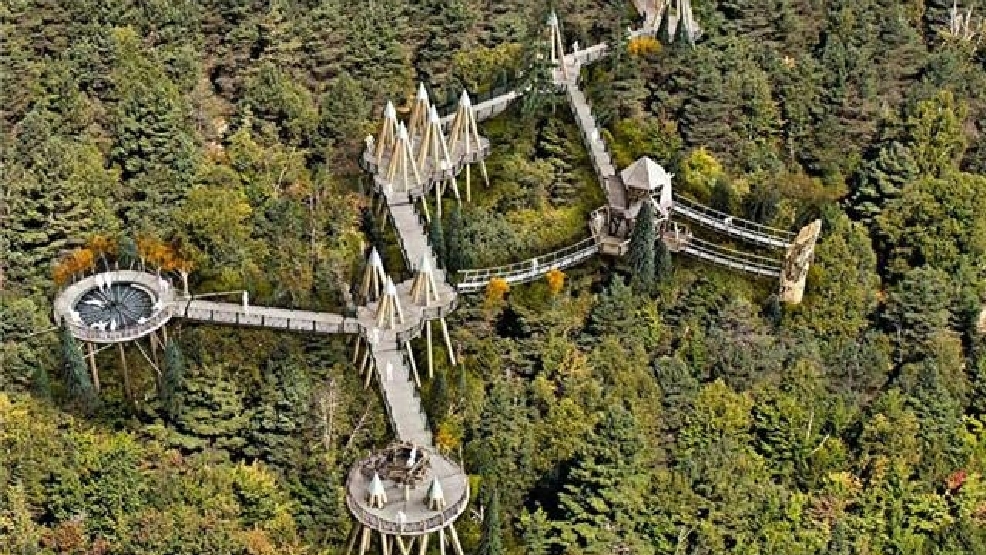 Wild Walk gives NY museum visitors treetop view of forest | WPDE