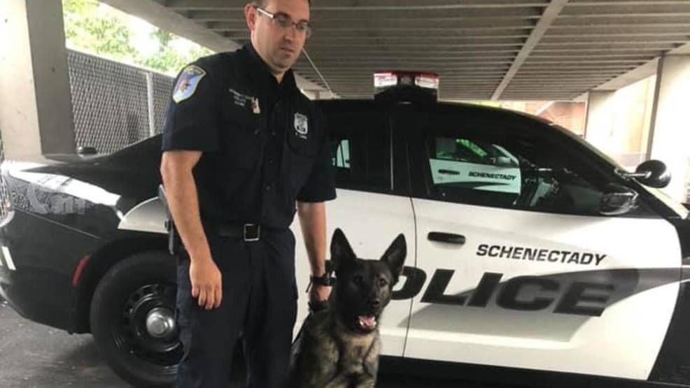 Schenectady Police welcome new K-9 officer | WRGB