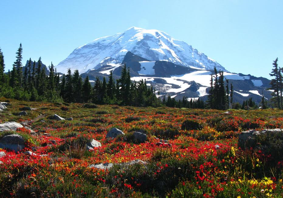 Photos: A comprehensive guide to all things fall in Seattle | Seattle ...