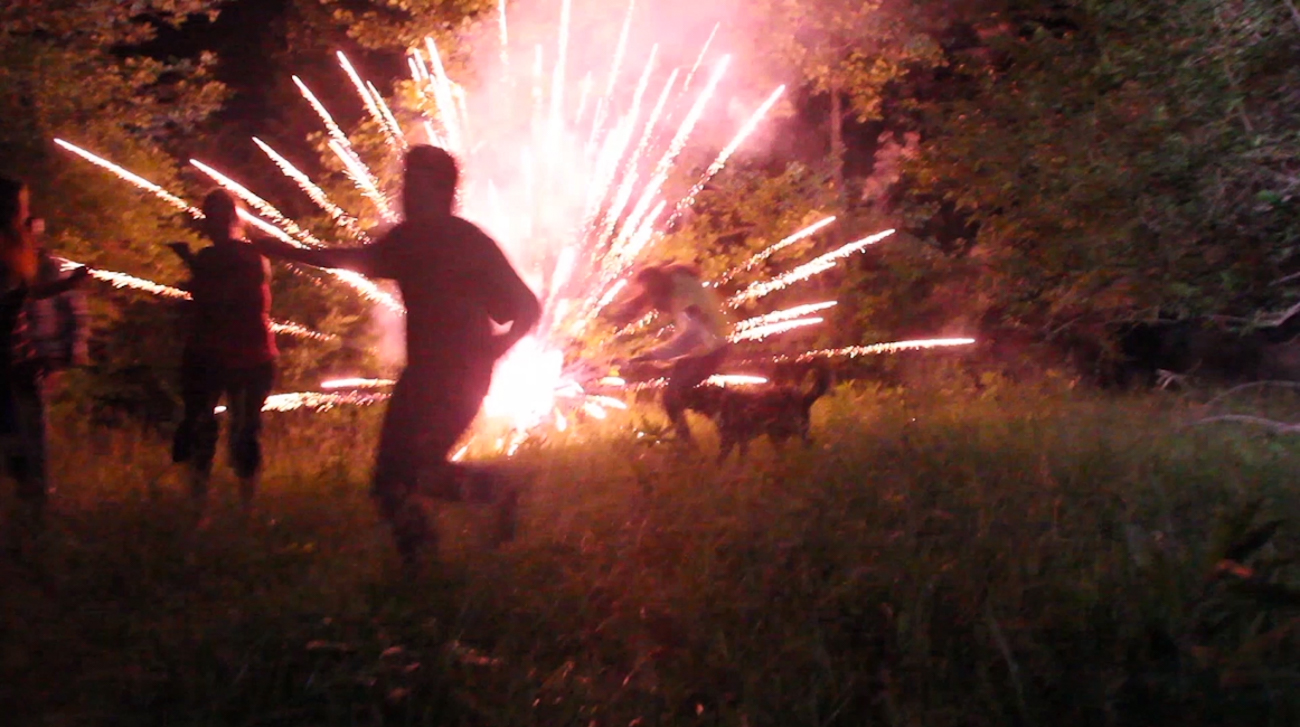 Locals Made a Killer Space Llama Film & Put It on Amazon for Over $1 ...