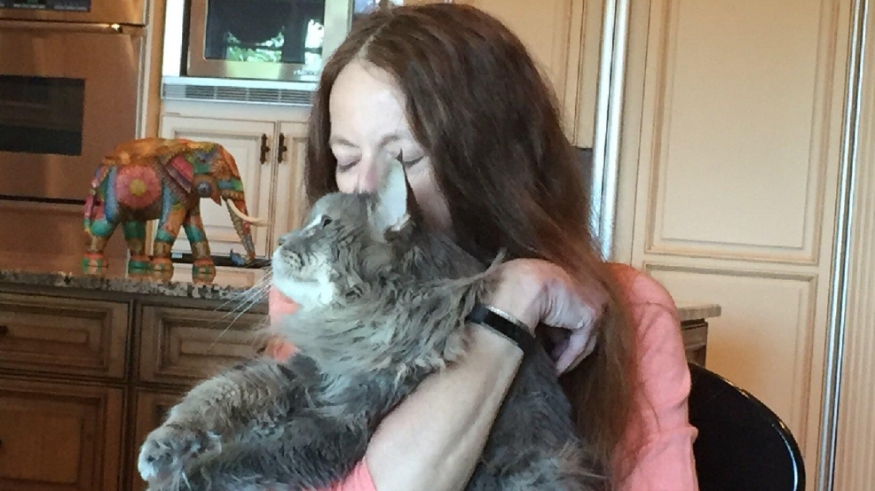 Couple files suit against Biltmore Forest in dispute over their twelve ...