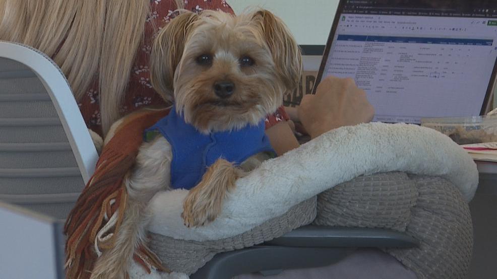 Bark in Franklinton rated one of the most innovative office spaces in ...